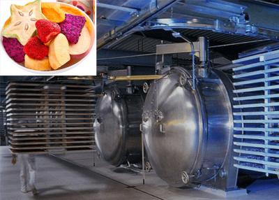 China 220V/380V/3PH Professional Food Vacuum Freeze Dryer For High Drying Performance for sale