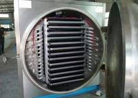 China Remote Control Industrial Freeze Drying Equipment With Water Cooling System for sale