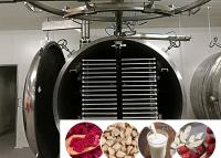 China Energy Saving Large Commerical Alat Freeze Dryer 200kg/Batch for sale