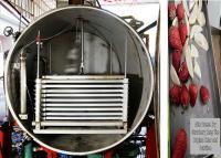 China 300Kg Remote Control Industrial Dry Freezer Machine for sale