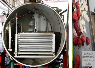China 300Kg Remote Control Industrial Dry Freezer Machine for sale