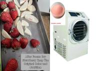 China PLC Controlled Food Home Freeze Dryer 6Kg 10Kg Medium Size for sale