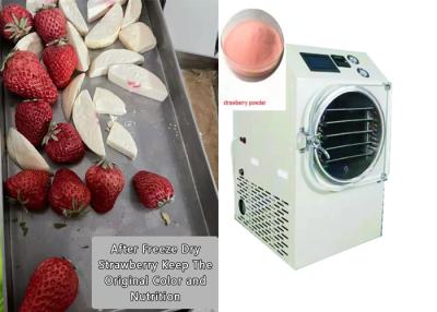 China PLC Controlled Food Home Freeze Dryer 6Kg 10Kg Medium Size for sale