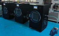 China Stainless Steel PLC Control Home Freeze Dryer With 6 - 8kg Capacity for sale