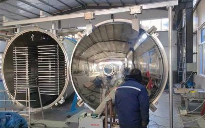 China Custom Food Vacuum Freeze Dryer Large Commercial Lyophilizer for sale