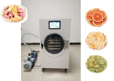 China Stainless Steel Mini Freeze Dryer For Medium-Sized Drying for sale