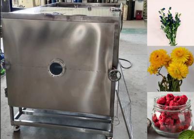 China 100Kg 200Kg Food Vacuum Freeze Dryer Industrial Drying Equipment for sale