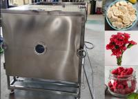 China Large Food Vacuum Freeze Dryer Machine Lyophilizer Equipment for sale