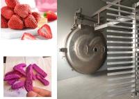 China Quiet Industrial Freeze Dryer Professional Drying for Industrial Applications for sale