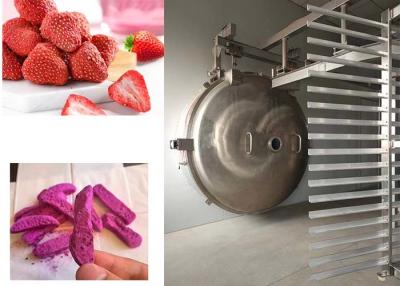 China Quiet Industrial Freeze Dryer Professional Drying for Industrial Applications for sale