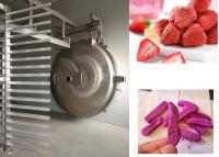 China Industrial Freeze Dryer For Customizable And Versatile Drying Applications for sale