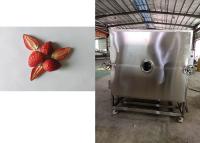 China Leybold Refrigeration System Food Vacuum Freeze Dryer Machine Reliable for sale