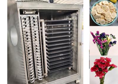 China Industrial Vacuum Freeze Drying Machine For Maxi Nutrient Retent for sale