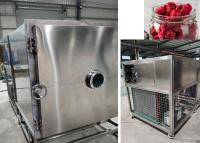 China Air Cooled Freeze Dry Fruit Machine  Equipment 100kg/batch for sale
