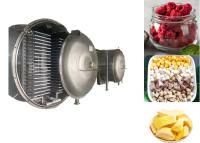 China Candy Fruit Food  Freeze Dryer Lyophilizer Drying Machine for sale