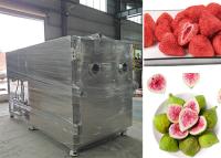 China Electric Heating Food Vegetable Freeze Dryer Machine 100Kg 200Kg for sale
