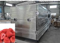 China Large Vegetable Freeze Dryer Equipment Machine 100Kg/Batch Capacity for sale