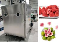 China Electric Heating Vegetable Lyophilizer Food Freeze Dryer Machine for sale