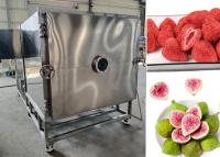 China Electric Heating Food Vacuum Freeze Dryer -40℃~-80℃  System for sale