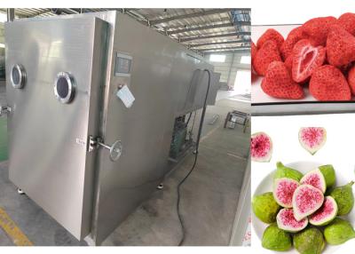 China 100Kg 200Kg 300Kg Fruit Candy Freeze Dryer Machine Equipment for sale