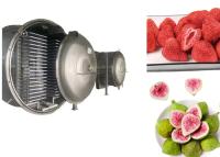 China Milk Meat Food Freeze Dryer Vacuum Lyophilizer Drying Machine for sale