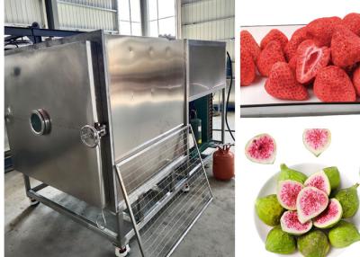 China 300kg/Batch Large Food Vacuum Freeze Dryer PLC Controlled for sale