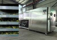 China Powerful  / Leybold Refrigeration System Freeze Dryer For Fruits for sale