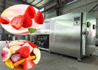 China 100kg/Batch Freeze Dry Machine Lyophilizer  With  PLC Control for sale