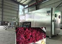China Large Industrial Freeze Dryer For Beverage And for sale