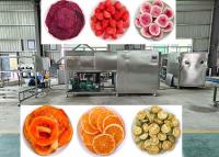 China Vacuum 10Pa Freeze Dryer Lyophilizer Machine With PLC Control for sale