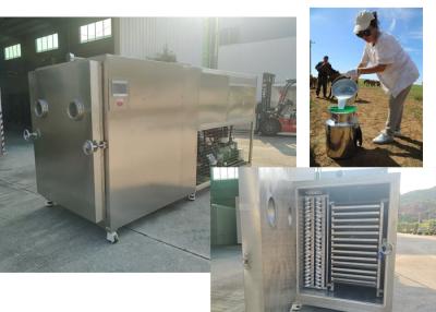 China Compact Design Food Vegetable Freeze Dryer With  Baosi Or for sale