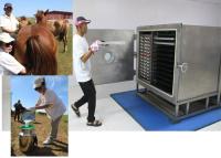 China Pharma Grade Vacuum Food Freeze Dryer 100Kg 200Kg for sale