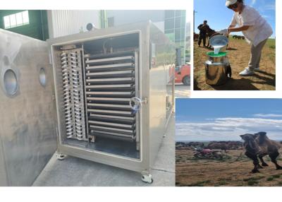 China Compact Design Freeze Dry Fruit Machine With  Refrigeration System for sale