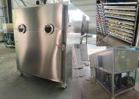 China Industrial Large Food Vacuum Freeze Dryer For Precise Freeze Drying for sale