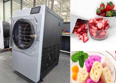 China Vacuum System Small Home Freeze Dryer For  Industry for sale