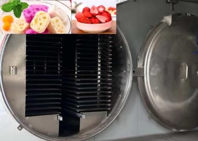 China High Capacity Industrial Freeze Dryer 1000kg/batch 13Pa Vacuum Level for sale