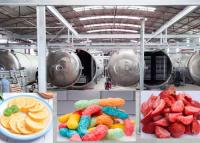 China 1000Kg Vacuum Freeze Dryer Machine Advanced Drying Technology for sale