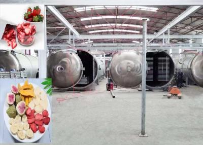 China 1000Kg Powerful Vacuum Freeze Drying Machine Industrial Using for sale