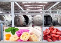 China 1000Kg Large Freeze Dryer for Fast 20-24H Precise Drying Results for sale