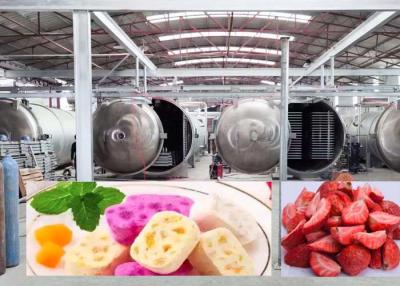 China 1000Kg Large Freeze Dryer for Fast 20-24H Precise Drying Results for sale