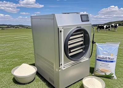 China 20Kg Home Use Automatic Food Freeze Dryer For Fruits Vegetables for sale