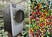 China Candy Ice Cream 5 Tray Home Freeze Dryer Machine Stainless Steel Model for sale