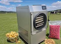 China Commercial Food Freeze Dryer Fruit Vegetable Candy Vacuum Freeze Drying Machine for sale
