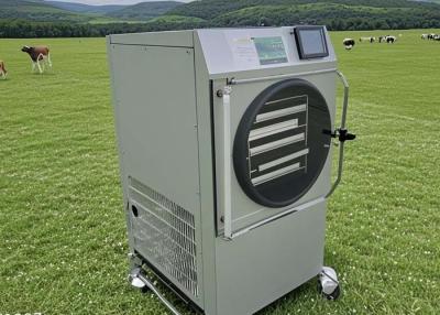 China Home Lyophilization Freeze Dryer Food Preservation With Vacuum Pump for sale