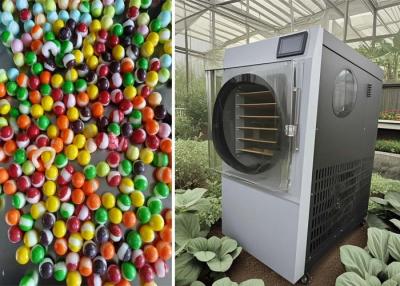 China Commercial Professional Lyophilizer Machine For Fruit Vegetable Candy Freeze Drying for sale