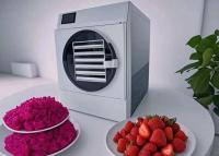 China Automatic Vacuum Freeze Dryer For Candy Fruit Juice Milk Freeze Drying for sale