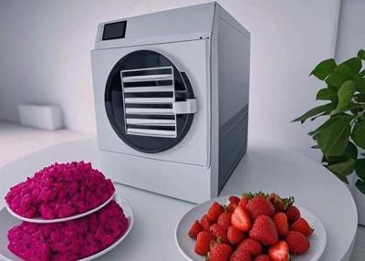 China Automatic Vacuum Freeze Dryer For Candy Fruit Juice Milk Freeze Drying for sale
