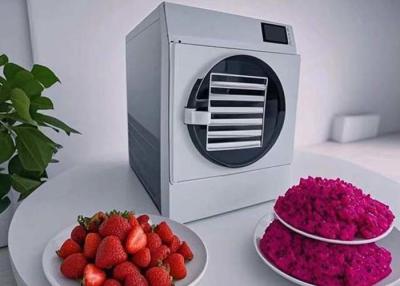 China 15KG 20kg Home Commercial Freeze Dry Machine For Long Term Food Preservatio for sale