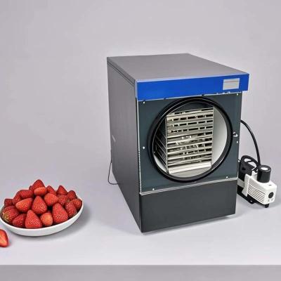 China 6KG 10KG Capacity Affordable Freeze Dryer For Candy Fruit Vegetable for sale