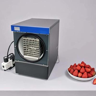 China ‌Freeze Dryer Machine For Fruits Veggies Meat Milk Lyophilized Home Use for sale